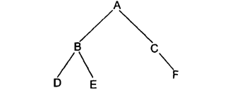 Tree in C Language Tutorial Notes Study Material with Examples