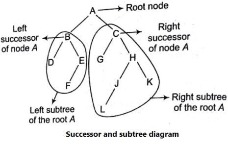 Tree in C Language Tutorial Notes Study Material with Examples