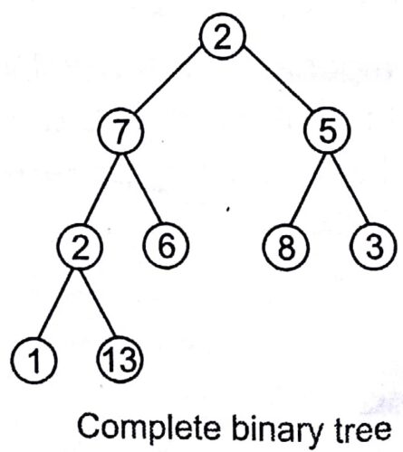 Tree in Design and Analysis of Algorithm Study Notes with Examples